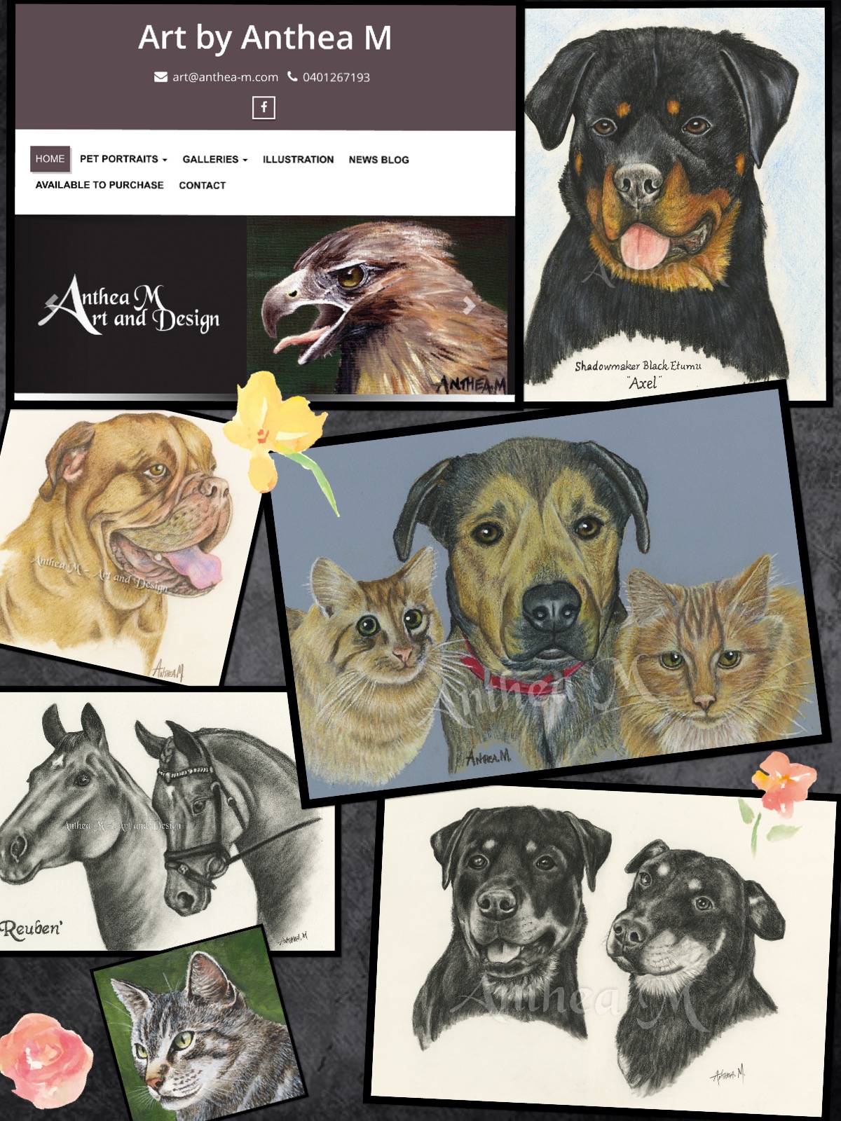 Pet Portraits - Art by Anthea MArt by Anthea M